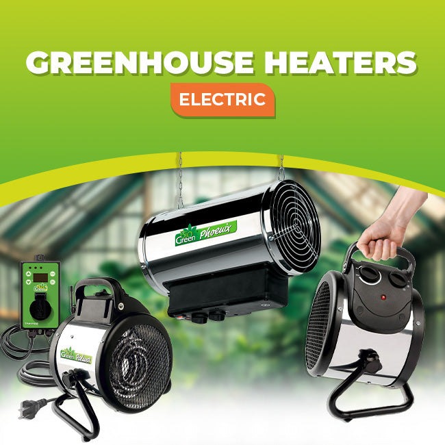 Explore the World of Gardening and Greenhouses - biogreen.co.uk