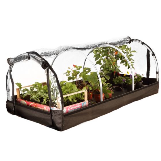 Propagation Station - “Jumbo” + Heating Mat & Digital Greenhouse ...